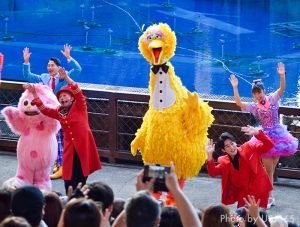 【USJ】2023年スペシャルファンナイトを紹介！年間パス・グランロイヤル特典 | USJ365